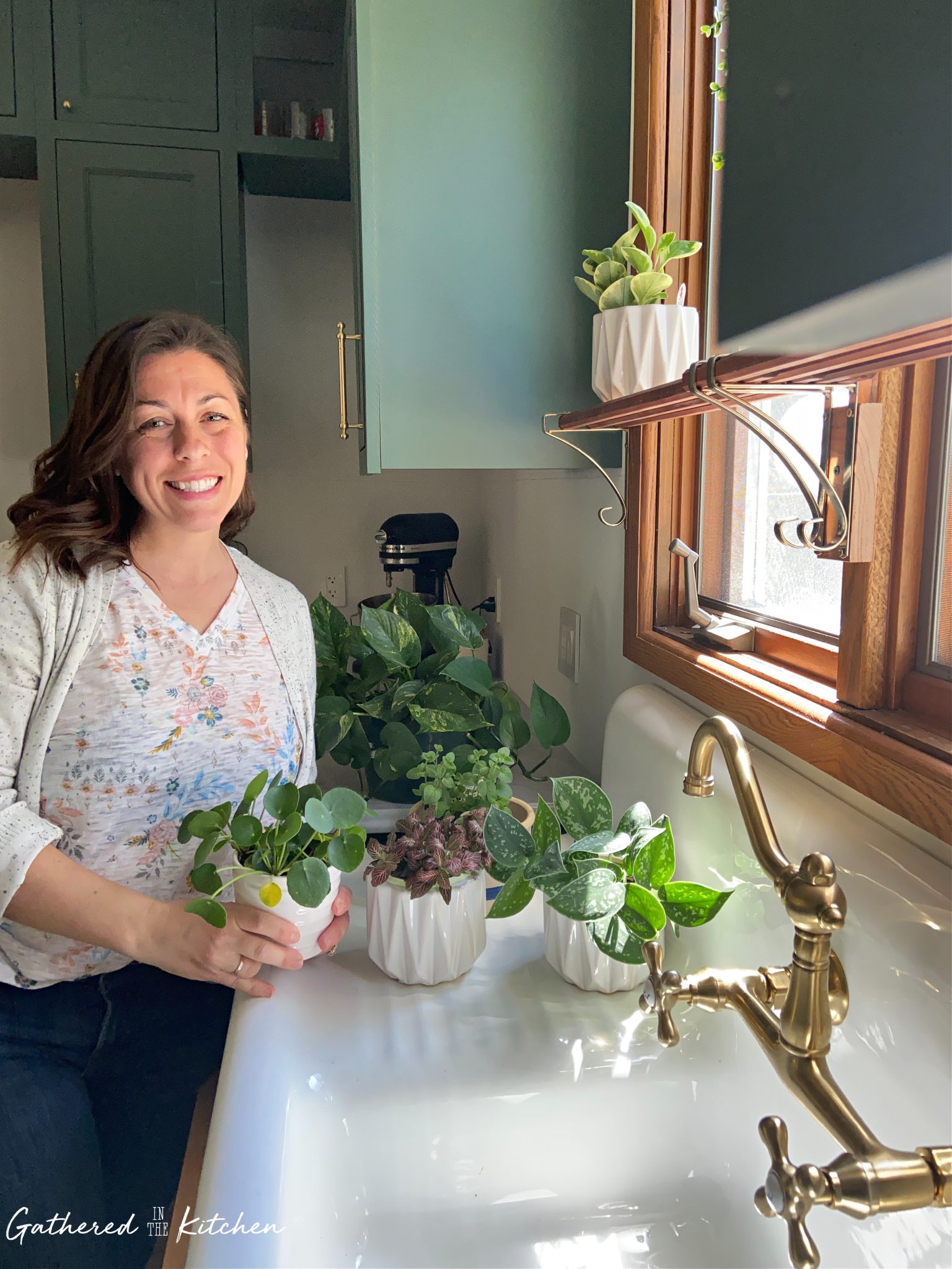 How To Care For and Propagate Indoor Pothos Plants | Gathered In The ...