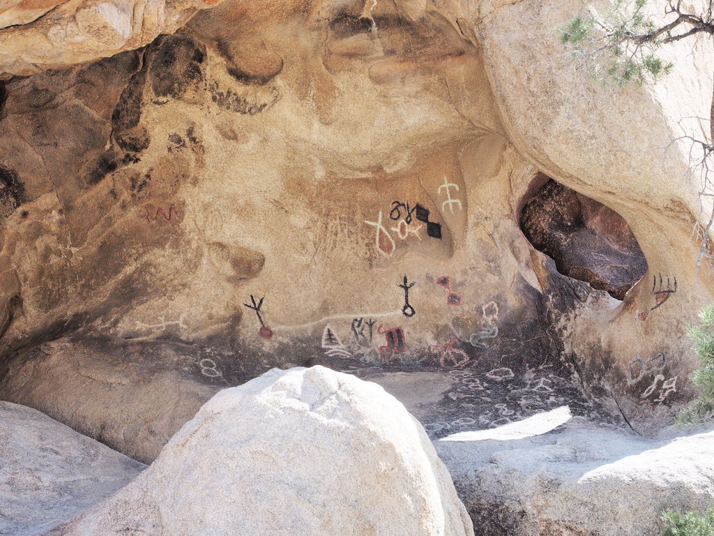 10 Day California Coast Road Trip | Day 2: Joshua Tree National Park ...