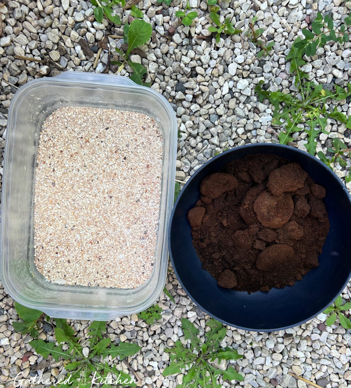 How to Use Eggshells as Fertilizer for Healthier Tomato Plants ...