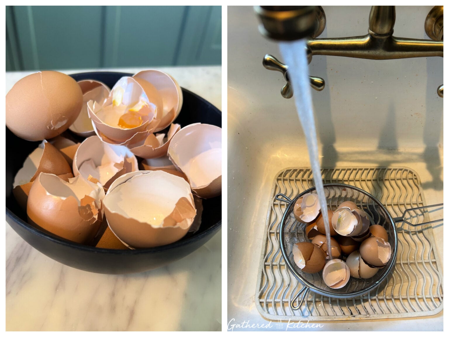 How to Use Eggshells as Fertilizer for Healthier Tomato Plants ...