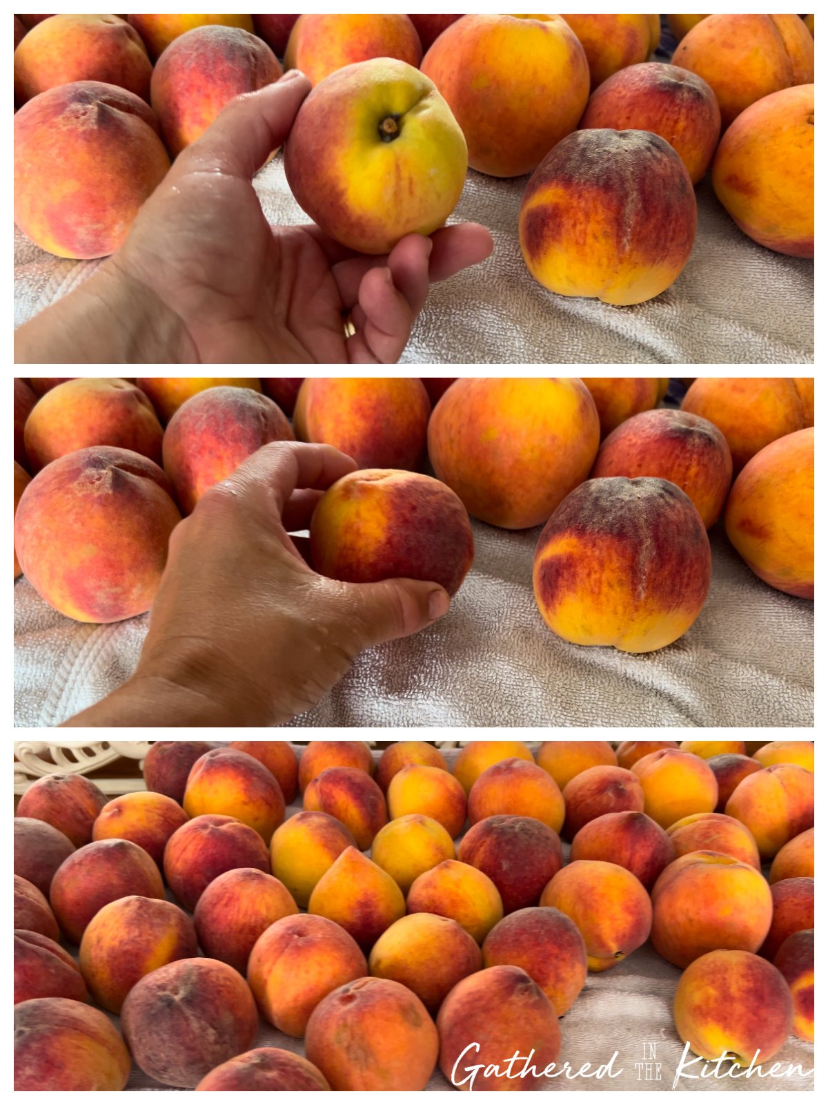 How to Pick, Ripen, and Enjoy Fresh Peaches: The Complete Guide ...