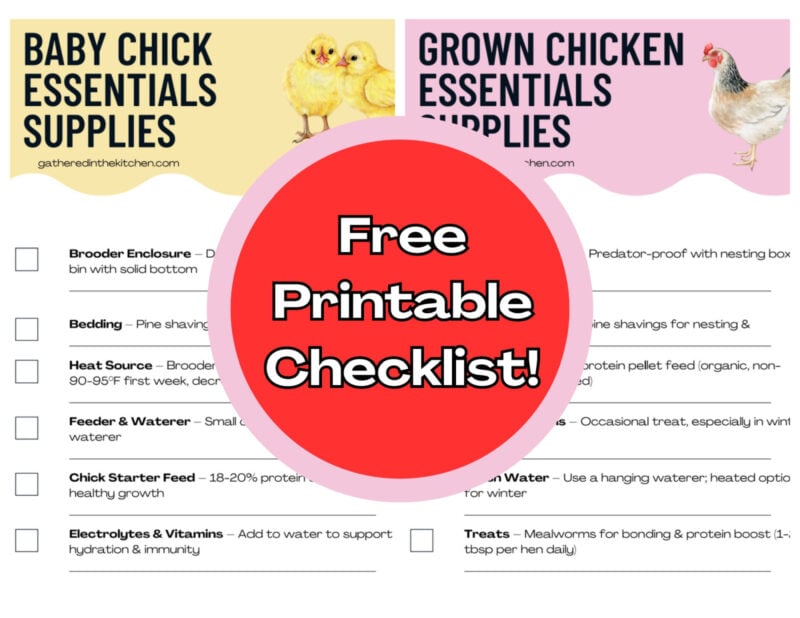 Essential Supplies for Your First Backyard Chickens | Gathered In The ...