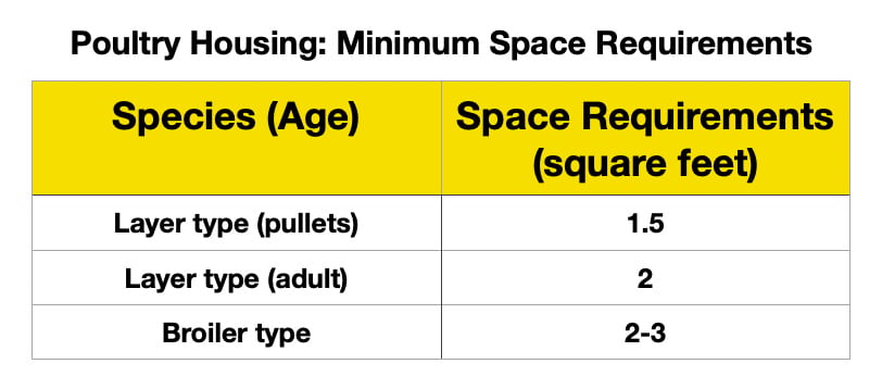 Raising Happy Backyard Chickens: Complete Guide for Beginners & Beyond ...