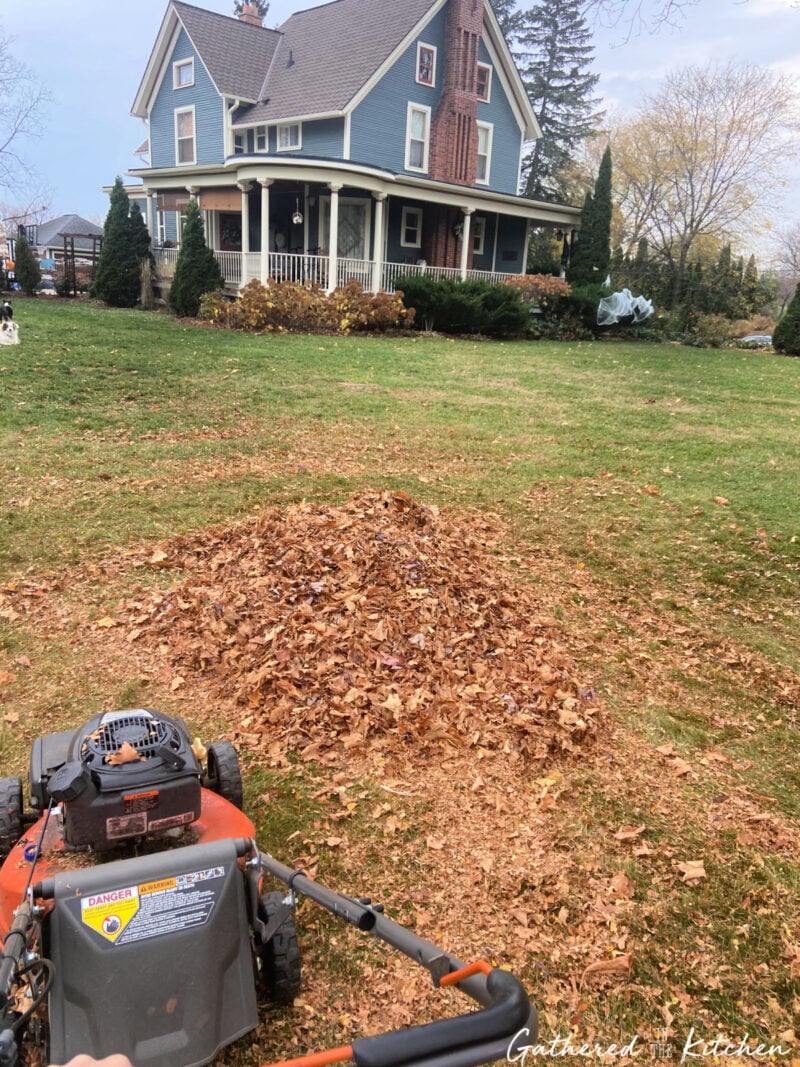 How to Compost Fall Leaves for Healthy Soil (Simple Beginner’s Guide ...